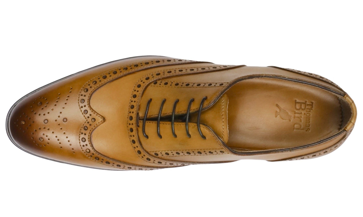 Wingtip Oxford Brogue Light Tan & Thomas Bird & tblon.com