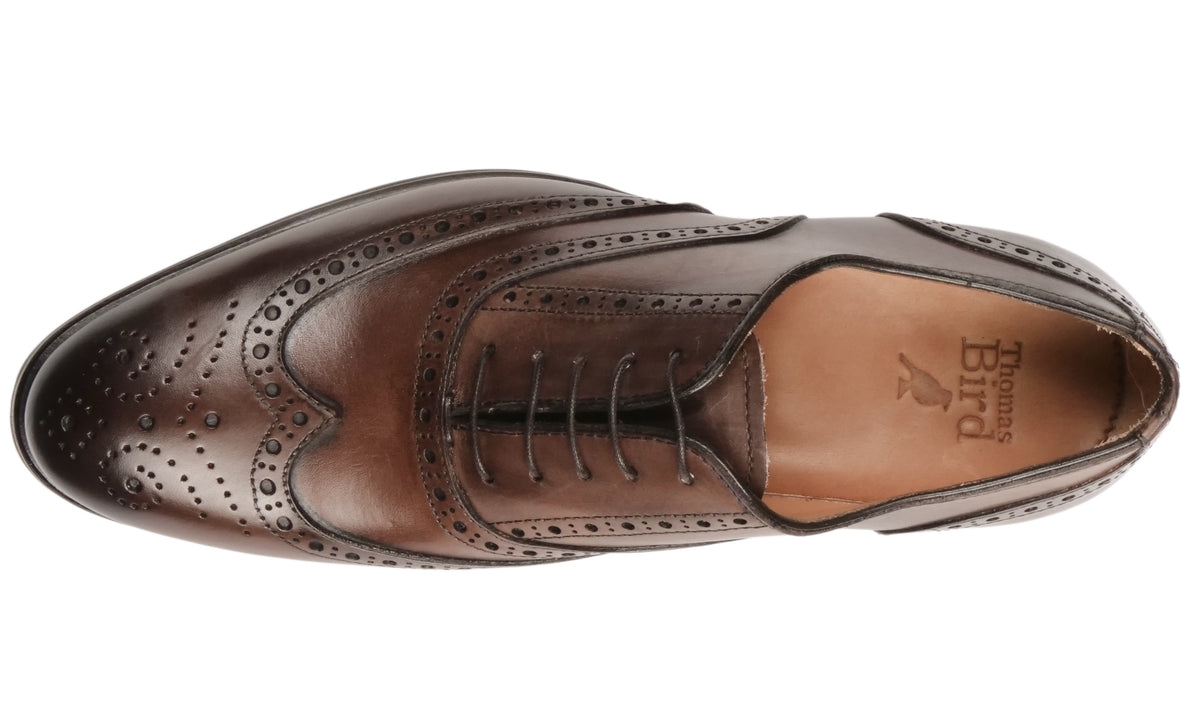 Wingtip Oxford Brogue Brown & Thomas Bird & tblon.com