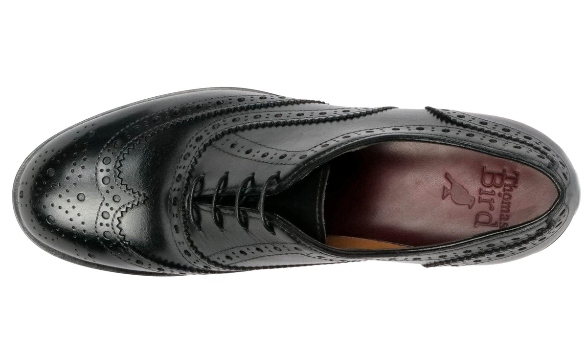 Wingtip Oxford Brogue Black & Thomas Bird & tblon.com