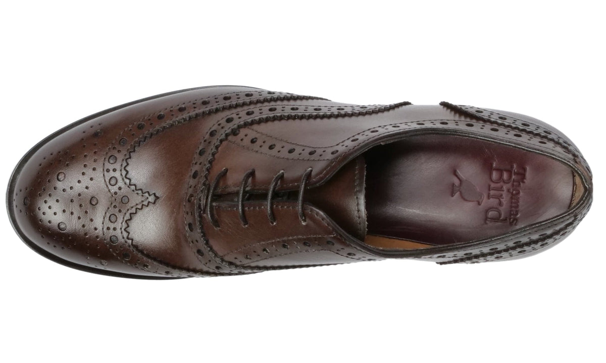 Wingtip Oxford Brogue Brown & Thomas Bird & tblon.com